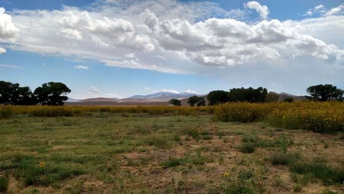 Walker River State Recreation Area - Yerington, NV - Campground Reviews